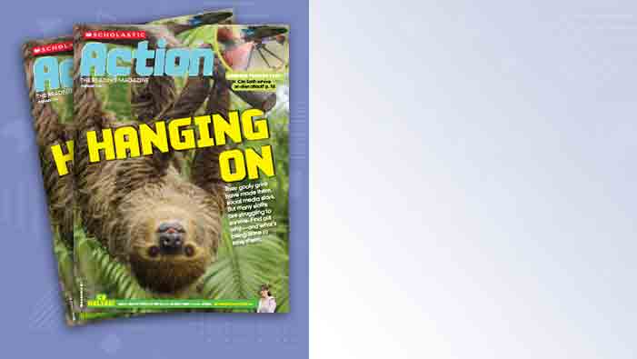 Action | Teacher Homepage