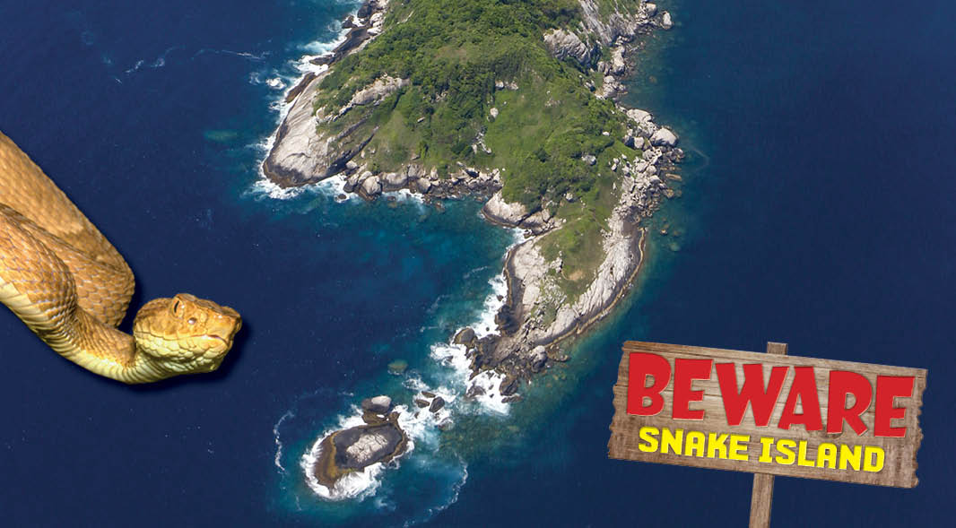 Snake Island Brazil Snake Island , World's Most Deadly Island